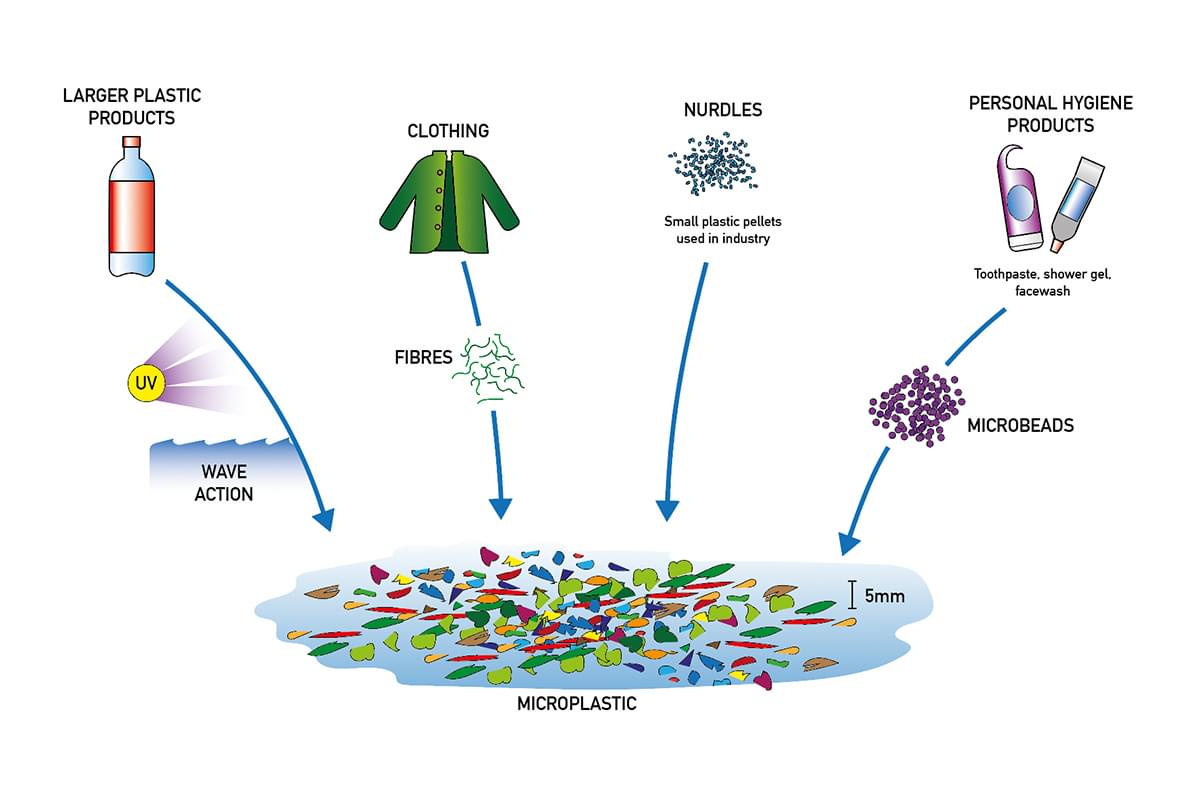 7 shocking ways on how do microplastics get into humans?