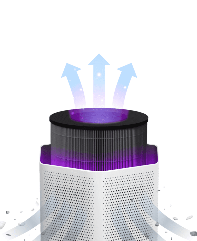 Plastic Detox Diet: 9 foods to eat and avoid